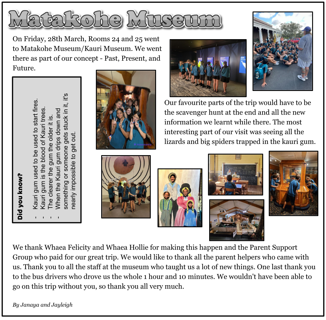 Term One, 2025 | Te Kamo Intermediate School